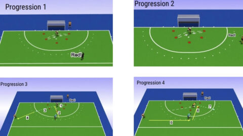 Spider Defensive Progression - NFHCA